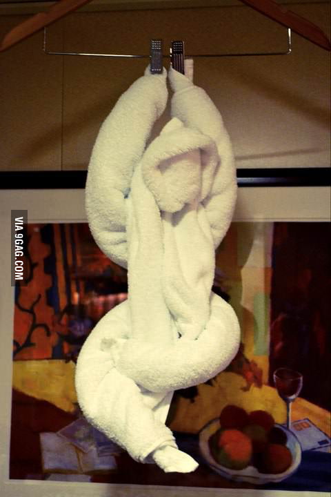 The maid in my hotel room likes to fold the clean towels like animals ...