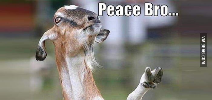 Peace bro… - 9GAG