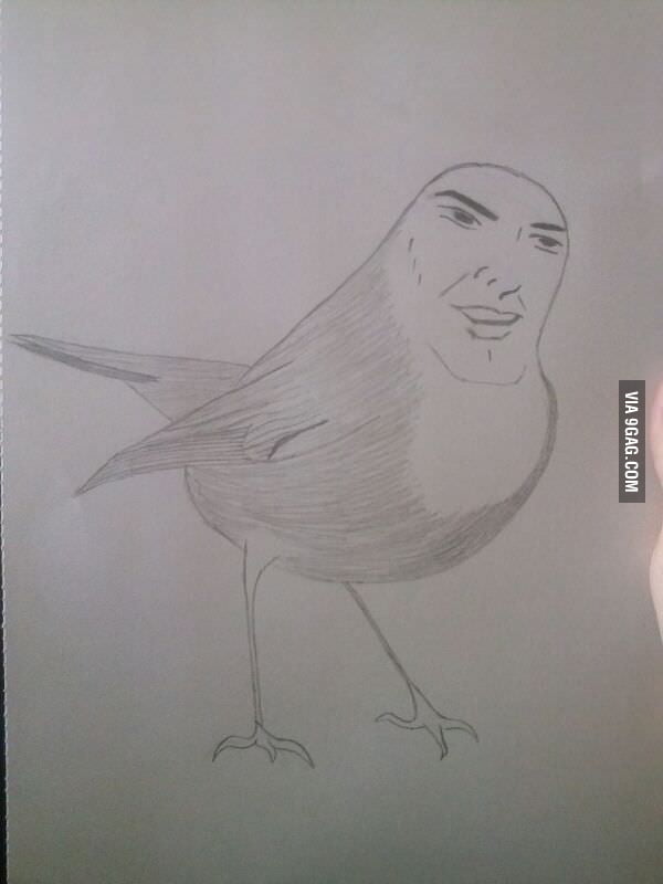 Disturbing bird.. - 9GAG