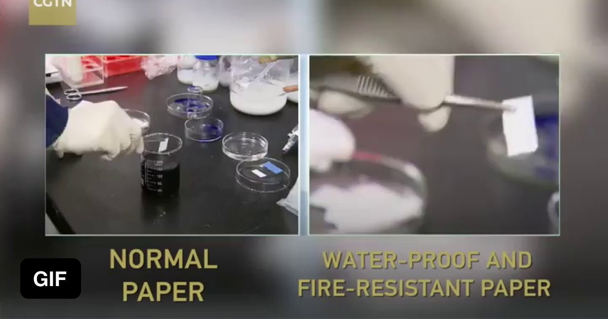 Waterproof and fire-resistant PAPER - 9GAG