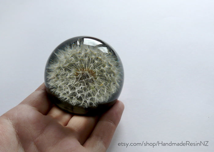 Made my own dandelion paperweight - 9GAG