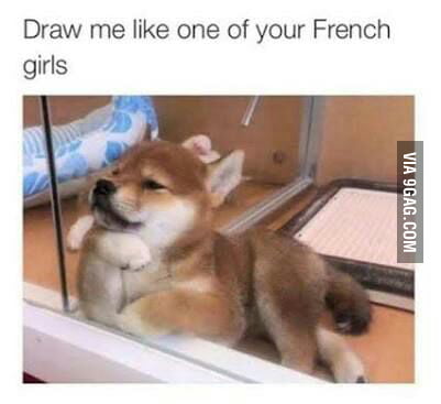 Such beauty Much wow - 9GAG