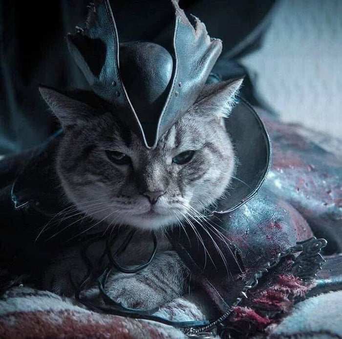 The Good Hunter - 9GAG