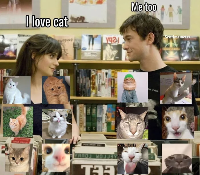 Meow meow. - 9GAG