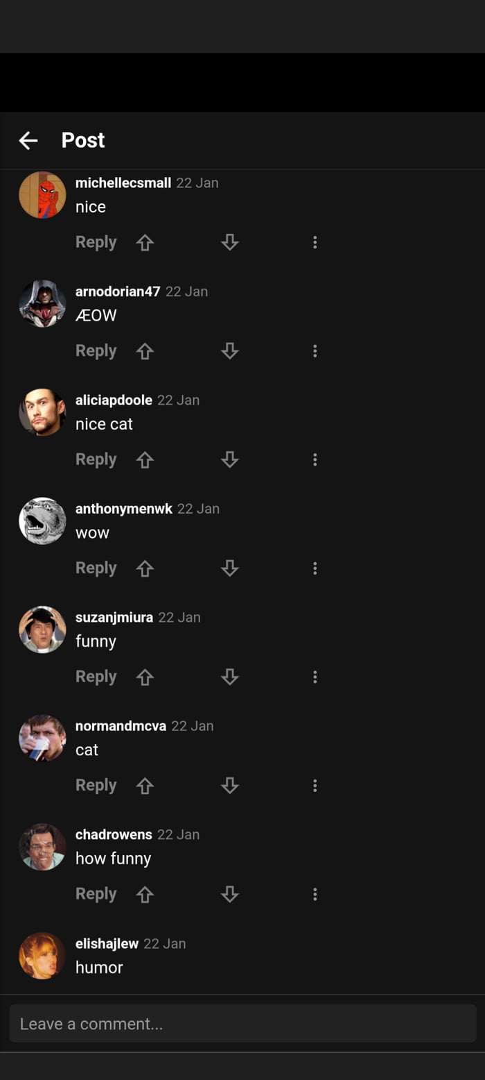 At least use a LLM. Lazy bots - 9GAG