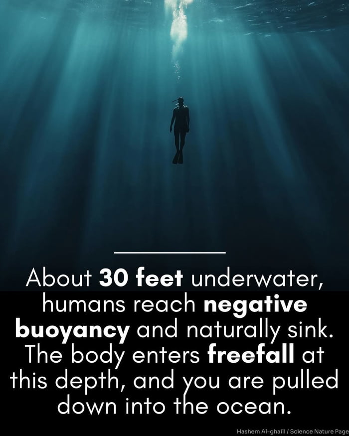 If you swim 30 feet down into the ocean, the weight of the water above ...