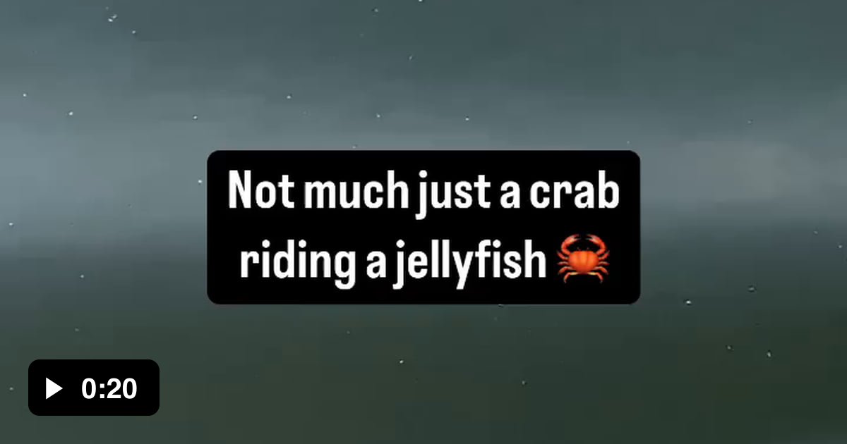 A crab 🦀 riding a jellyfish 🪼 - 9GAG