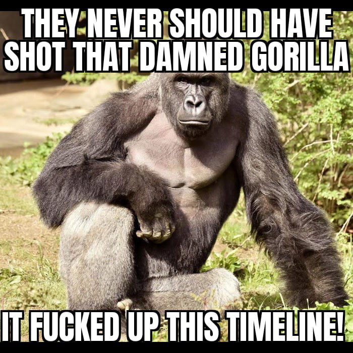 Harambe - 9GAG