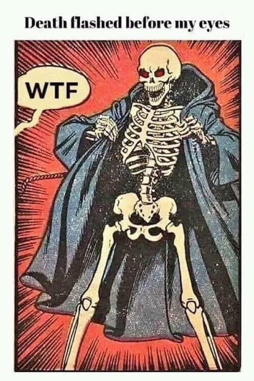 The Boner 9gag 7081