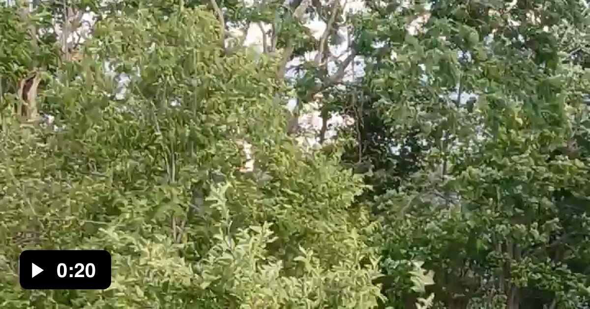 A little bit windy today - 9GAG