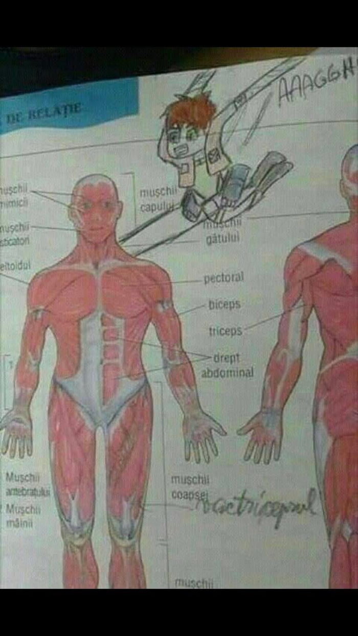 I love textbook doodles - 9GAG