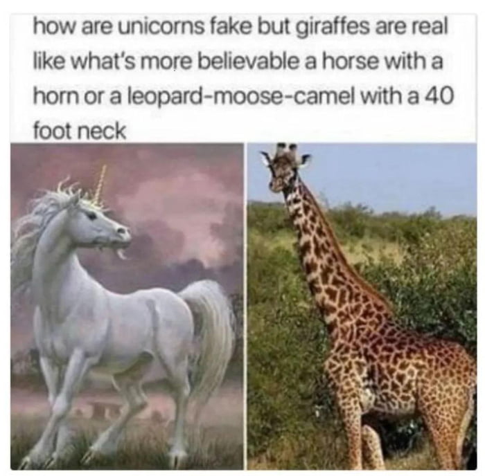 Excellent Point. - 9GAG