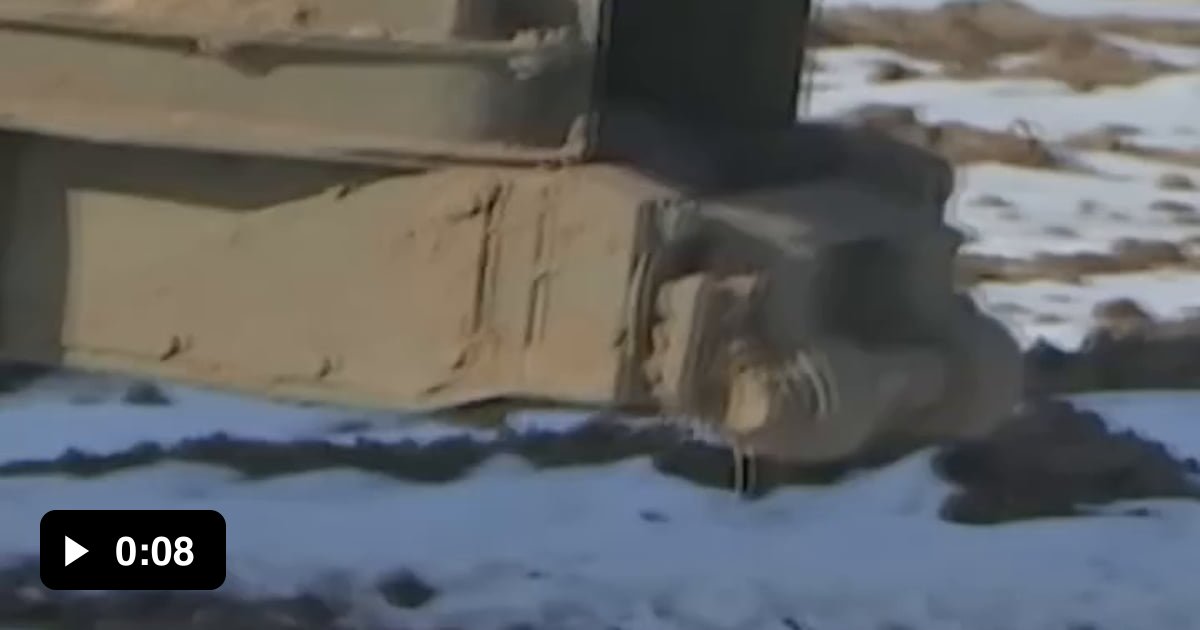 Tank pooping. - 9GAG