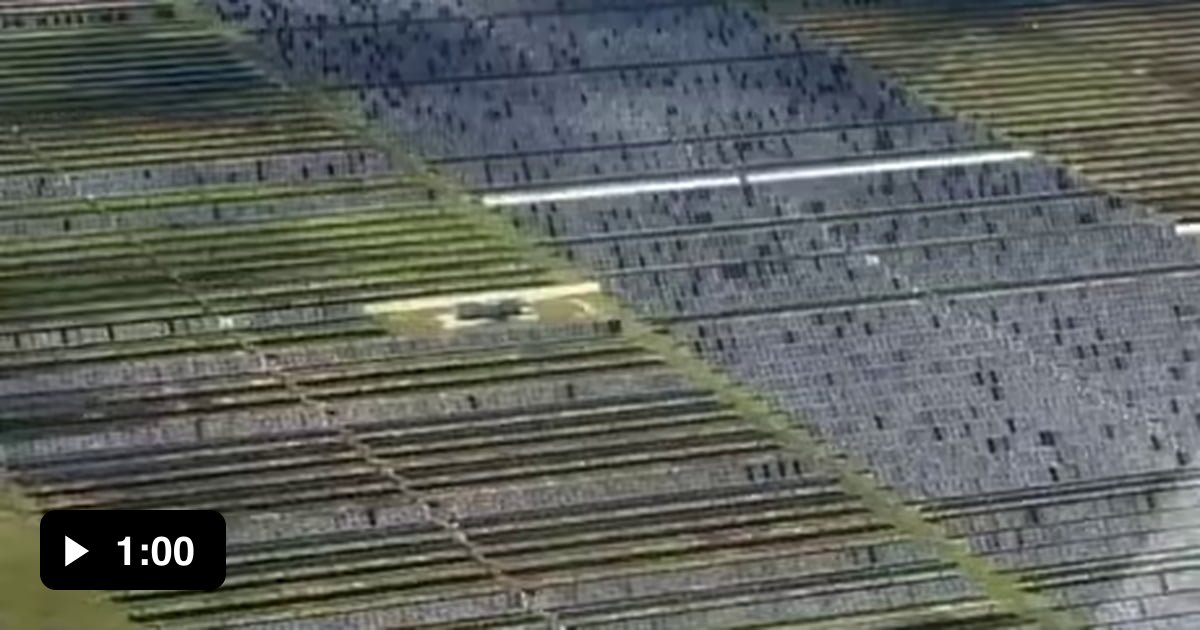 This happened in Texas yesterday, hail destroyed acres worth of solar ...