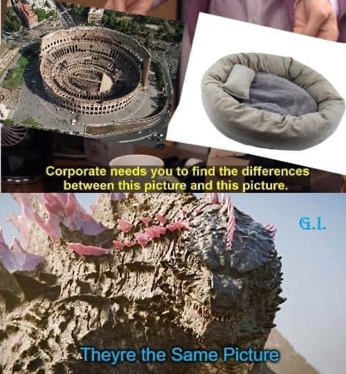 Big sleepy boi - 9GAG