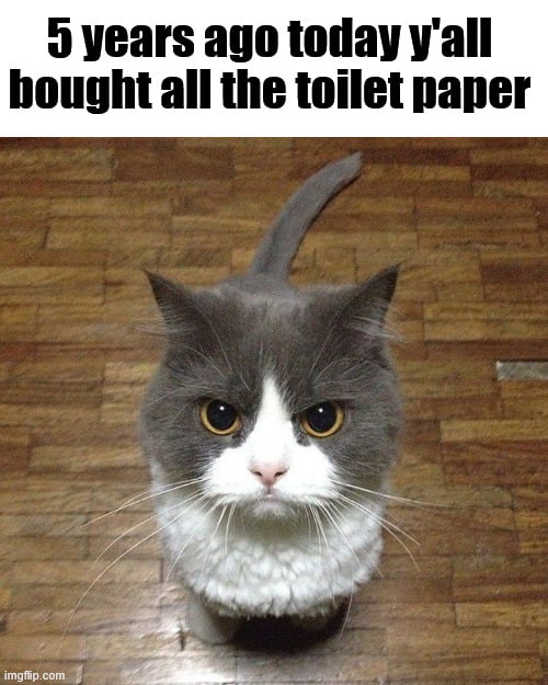Wild Times 9gag