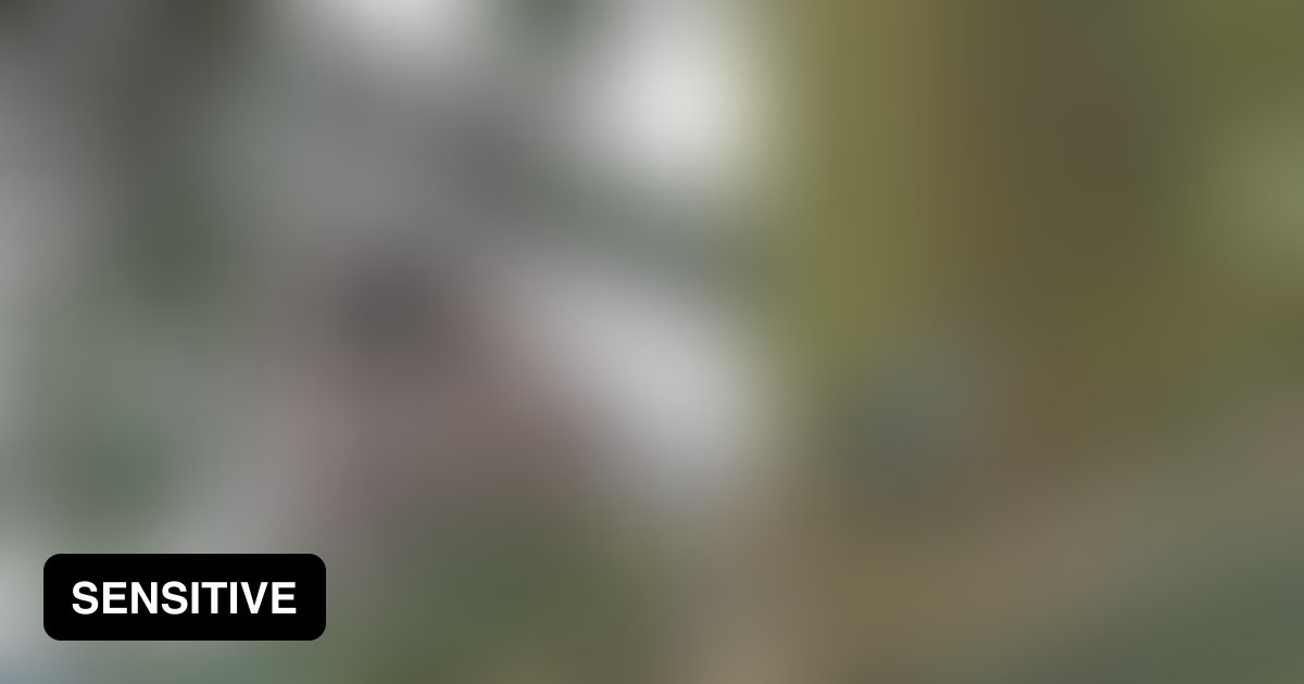 "Woo let the tits out? Woo, woo woo, wooo" - 9GAG