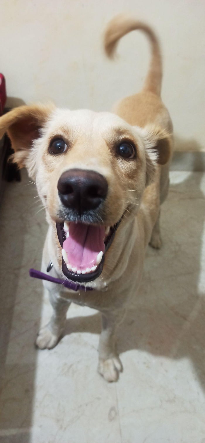 Big ahh smile - 9GAG