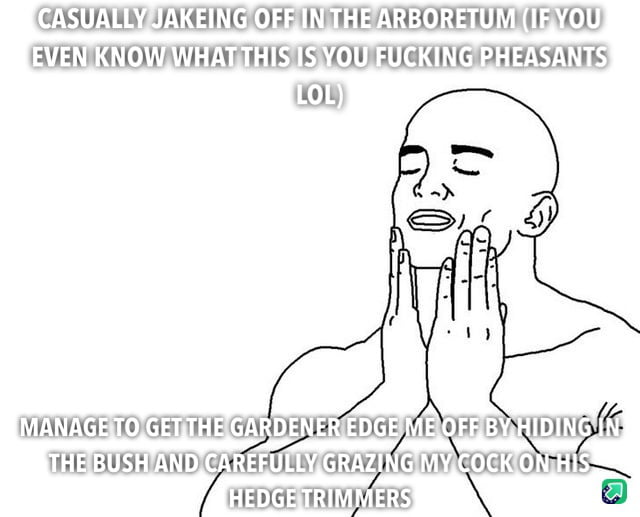 Goin sesh with high jelquing rizz - 9GAG