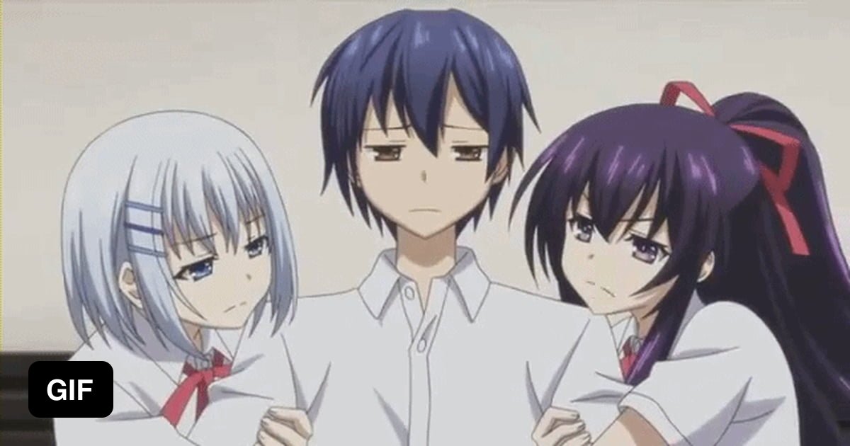 The average life of a Harem protagonist - 9GAG