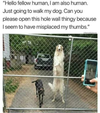 "I will give you a stick...ehh...a beer for your kind action fellow human" - 9GAG