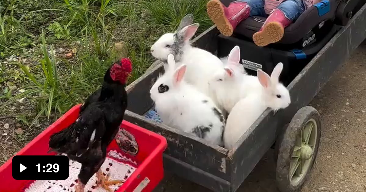 This is so cool! - 9GAG