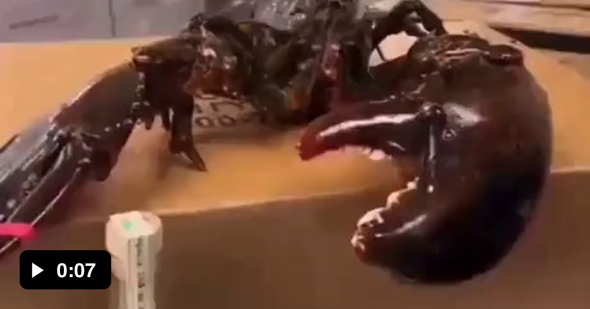 Cleaning up meme folder - 9GAG