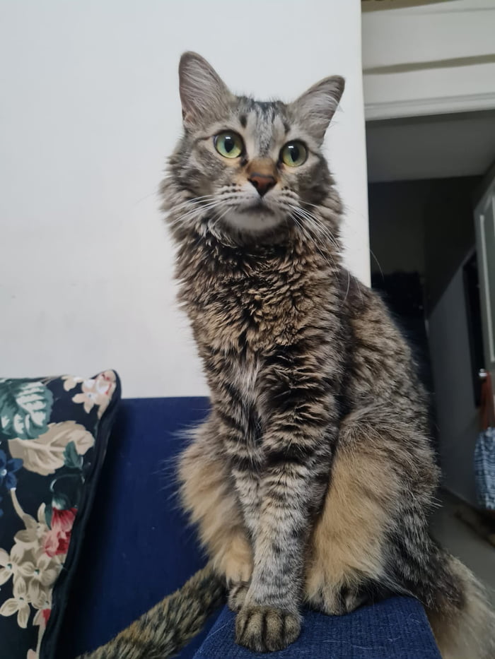 Luna always has the higher ground - 9GAG