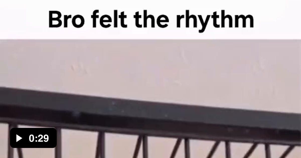Dang I knew birds liked music but this is something else - 9GAG