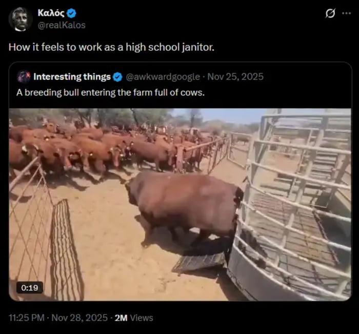Breeding bull - 9GAG