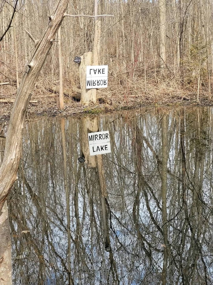 The lake understood the assignment - 9GAG