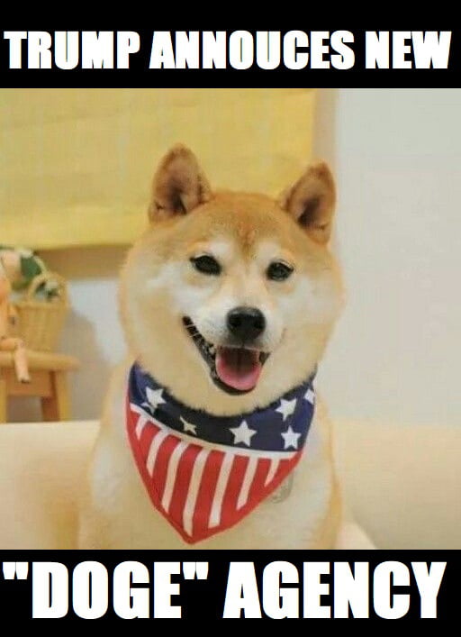 The new "Department Of Government Efficiency" will be fronted by Elon Musk - 9GAG