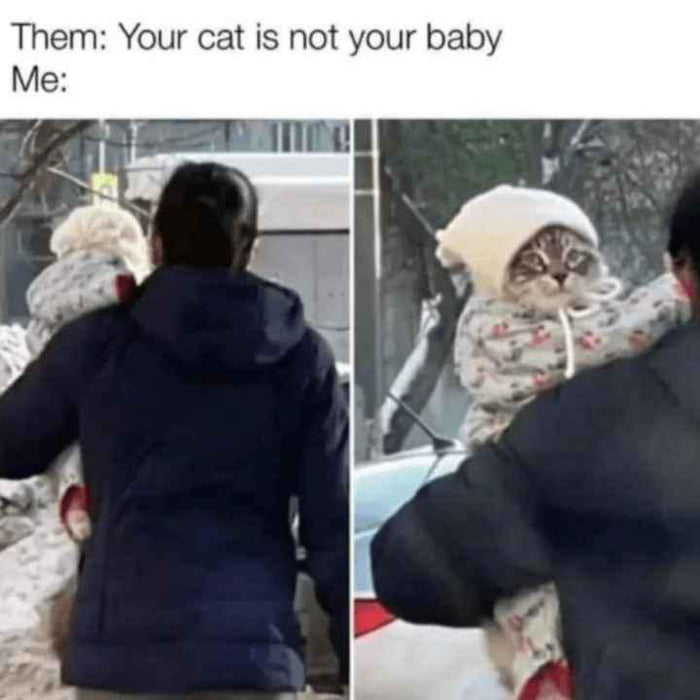 Talk to the paw 🐾 - 9GAG