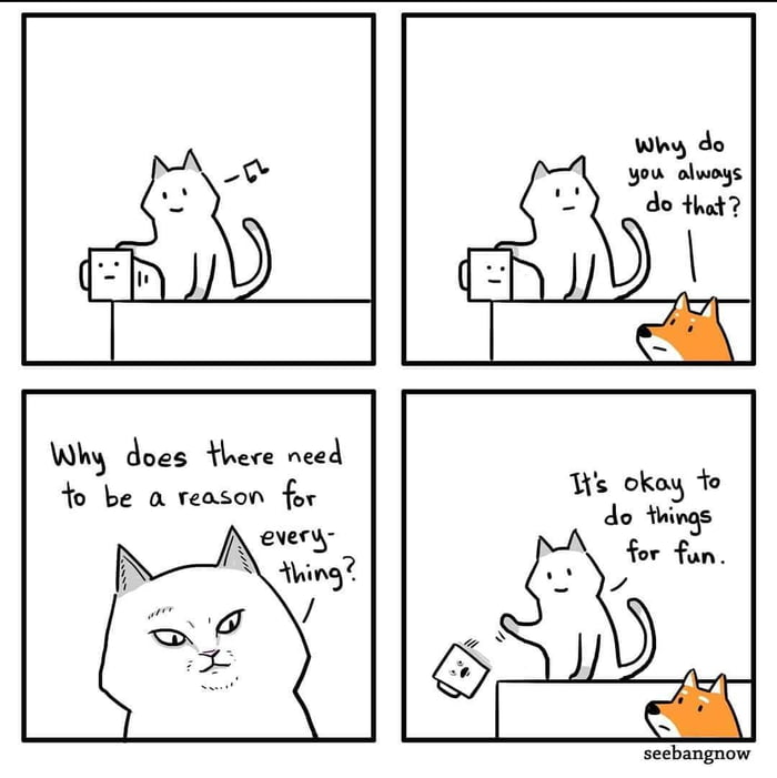 Cat - 9GAG