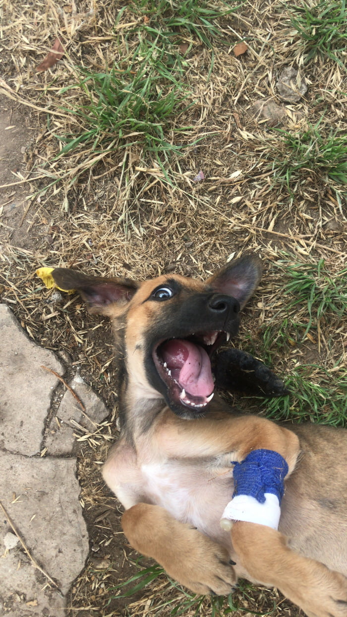 Naughty face activated - 9GAG