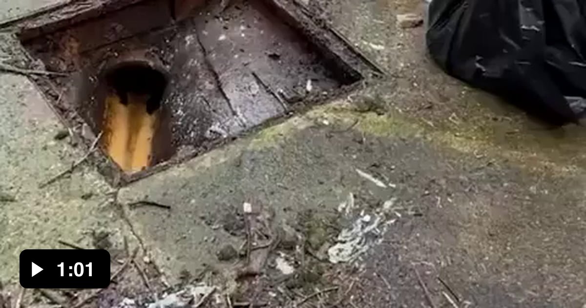 Comprehensive Residential Deep Cleaning - 9GAG