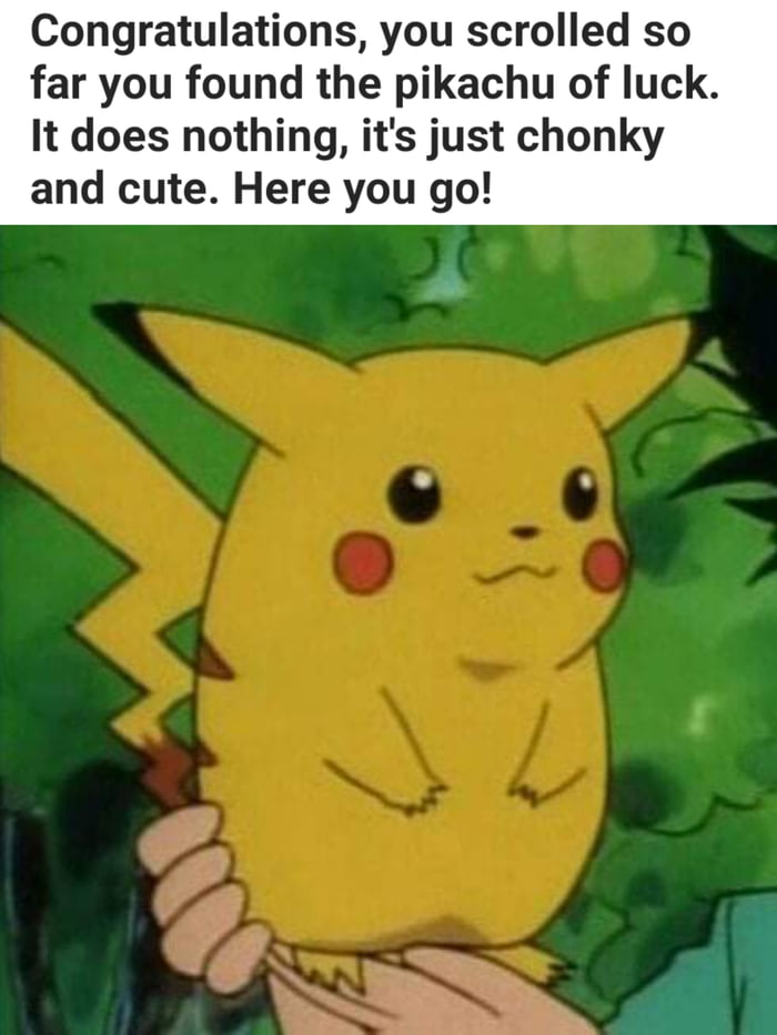 I prefer the old fat pikachu from the first generations - 9GAG