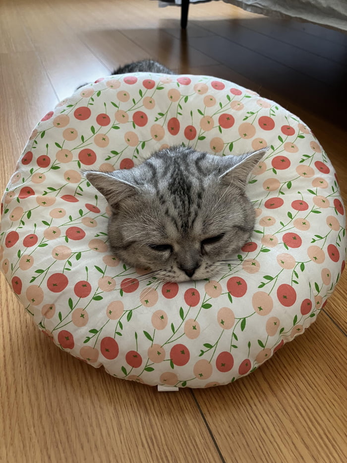 "I'm so tired" - 9GAG