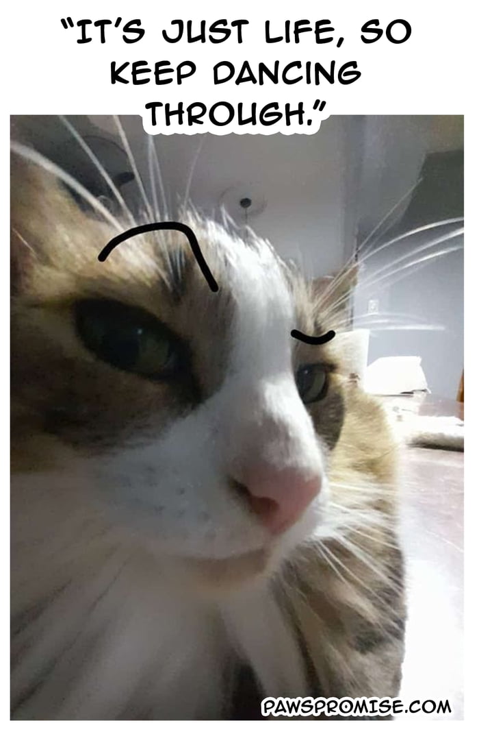 Some movie lines hit hard. - 9GAG