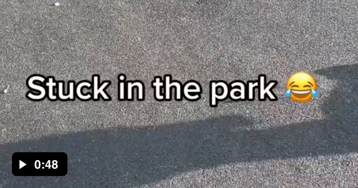 Stuck in the park - 9GAG