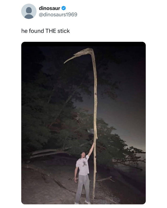 Found the ultimate stick - 9GAG