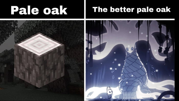 MINECRAFT RIPPED OFF HOLLOW KNIGHT!!! - 9GAG