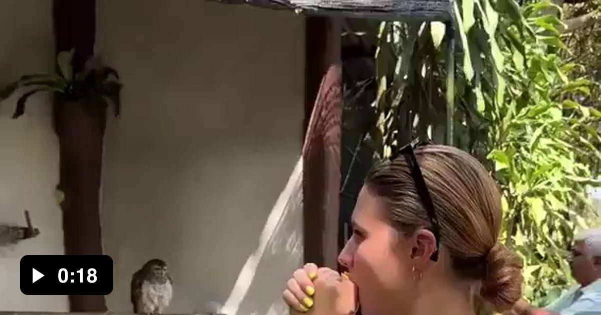 Frank, what the hell is she saying? - 9GAG