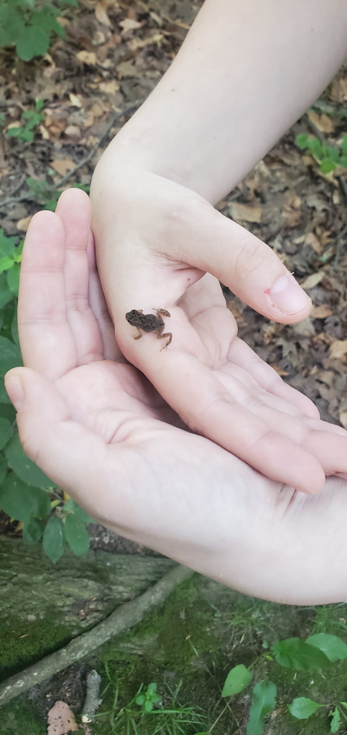 My first Wednesday contribution. Moved the tiny guy off a hiking path. - 9GAG