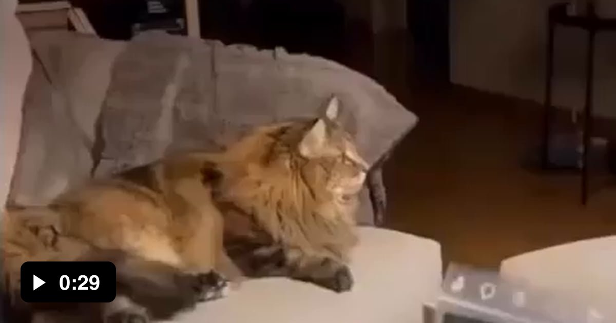 A new core memory is formed.. - 9GAG