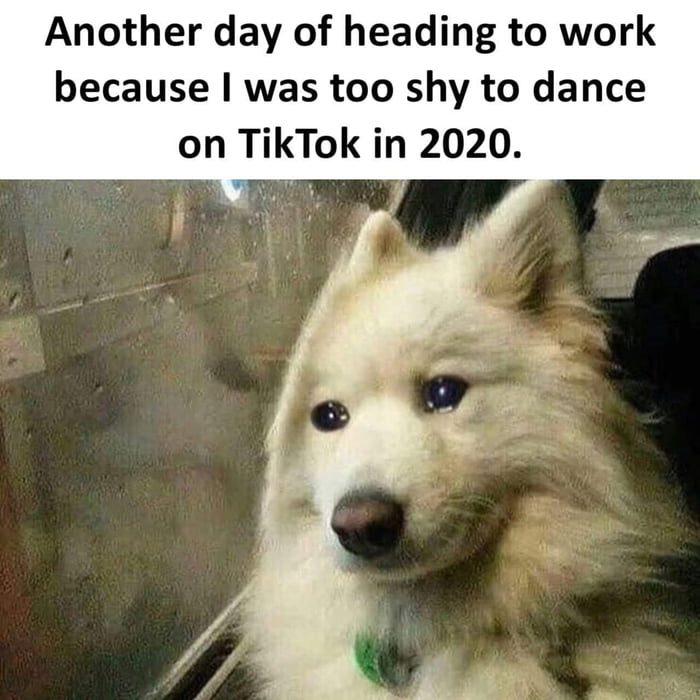 *Sad Noises* - 9GAG