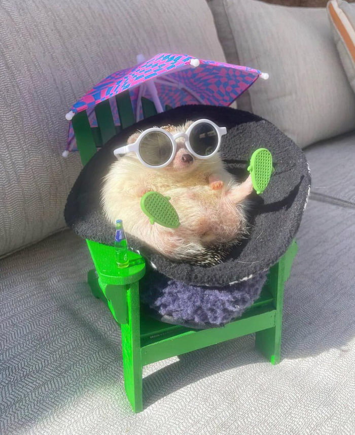 We chillin today - 9GAG