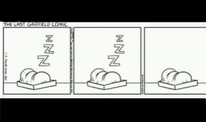The Last Garfield Comic - 9GAG