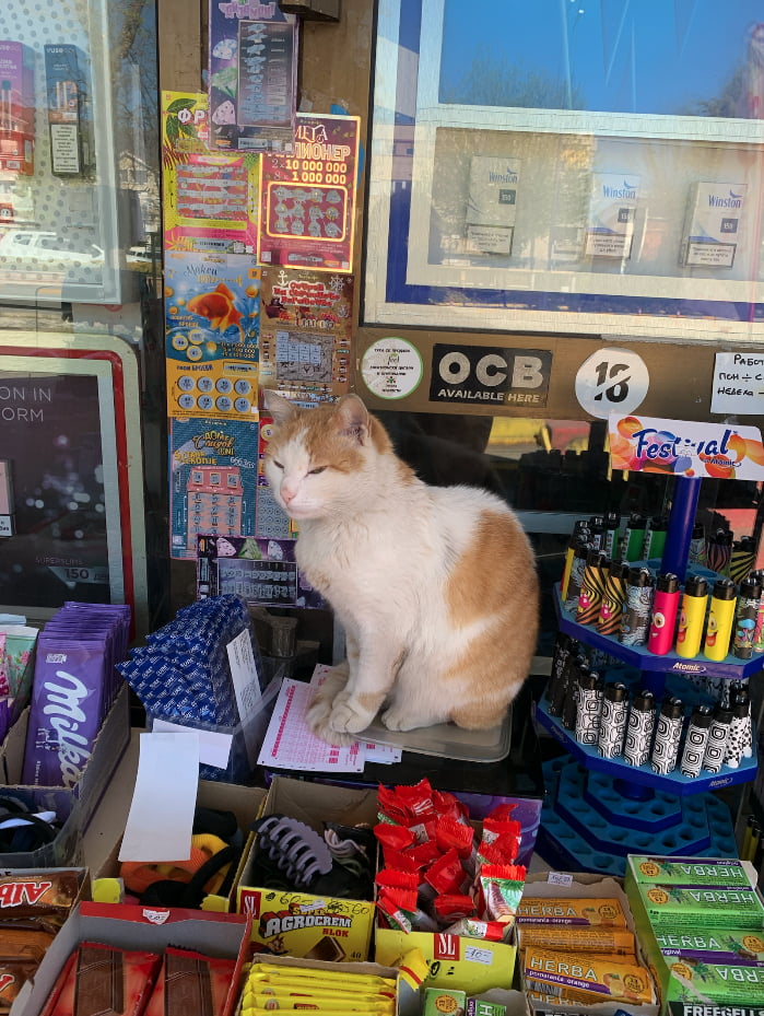 Grumpy shop owner - 9GAG