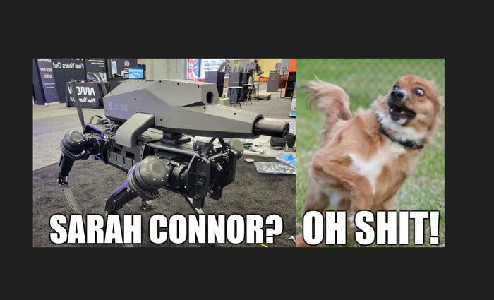 I bet you can distract it by throwing a stick away - 9GAG